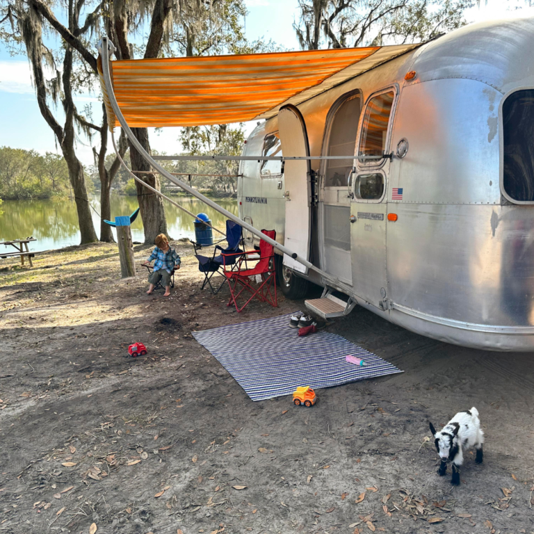 Home - Wildernessshores