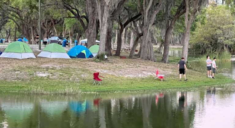 Home - Wildernessshores