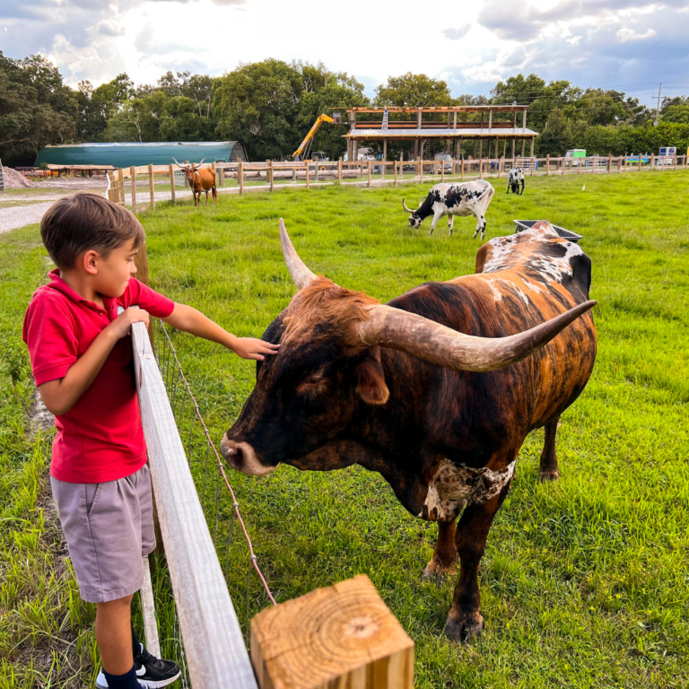 Home - Wildernessshores